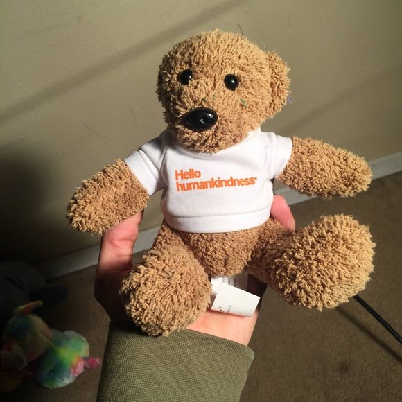 Toys | Human Kindness Bear Stuffed Animal Plush | Poshmark